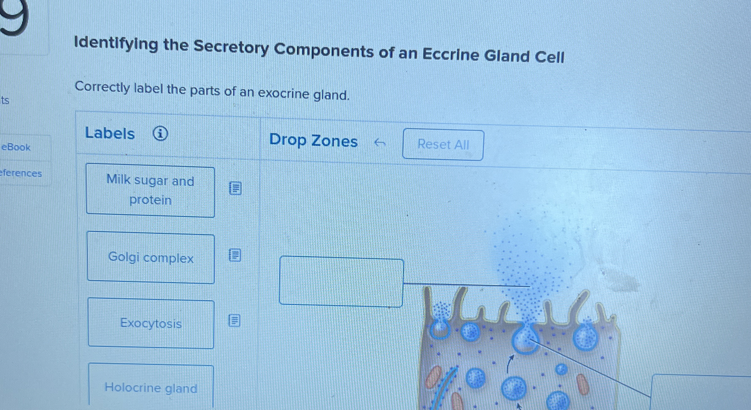 Solved Identifying the Secretory Components of an Eccrine | Chegg.com