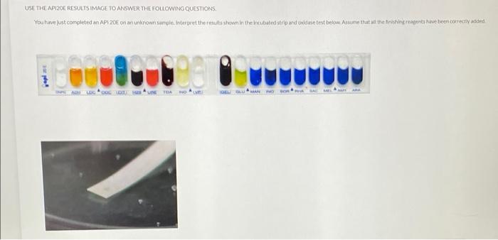 USE THE AP120E RESULTS IMAGE TO ANSWER THE FOLLOWING | Chegg.com