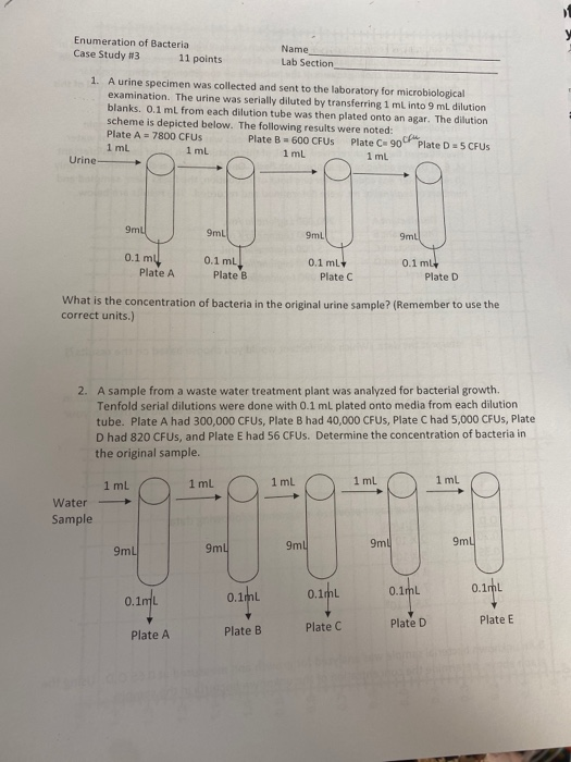 Solved Enumeration of Bacteria Case Study #3 11 points Name | Chegg.com