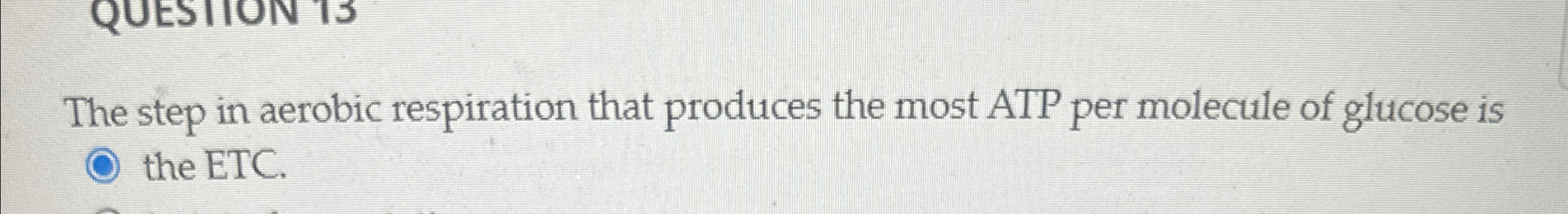 Solved The step in aerobic respiration that produces the | Chegg.com