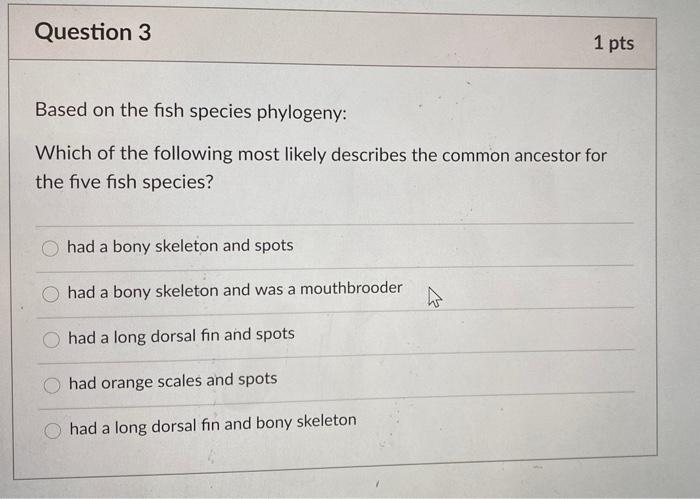 Solved The Fish Species Phylogeny: Fall 2021, section 24018 | Chegg.com