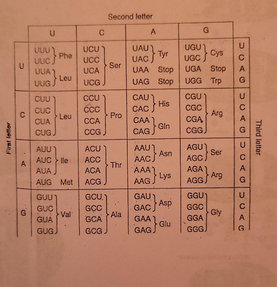 Solved using the codon table, what is the minimum # of tRNAs | Chegg.com