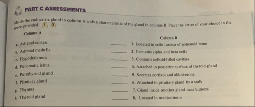 Solved PART C ASSESSMENTSMich the endocrine gland in column | Chegg.com