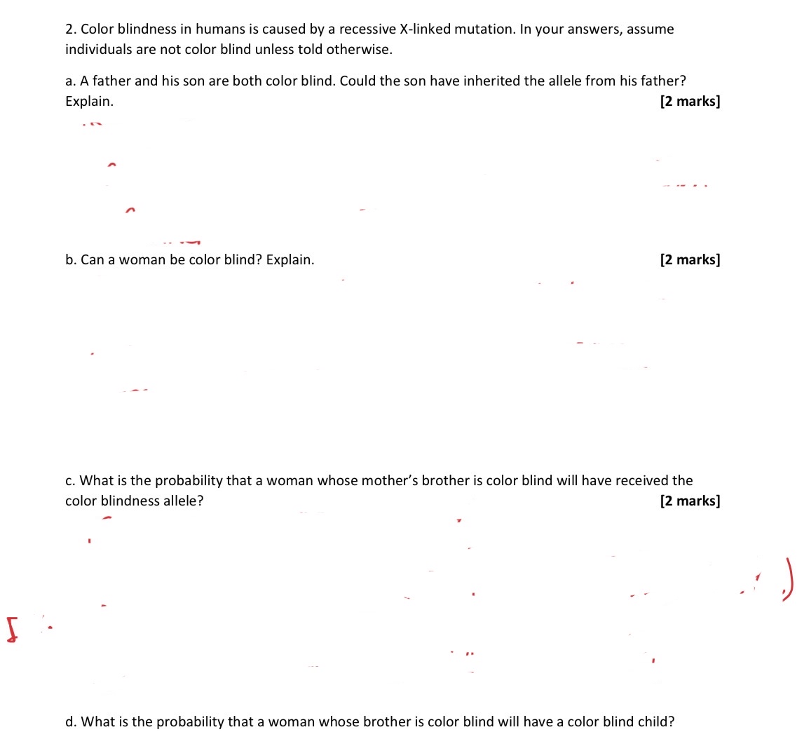Solved Color blindness in humans is caused by a recessive | Chegg.com