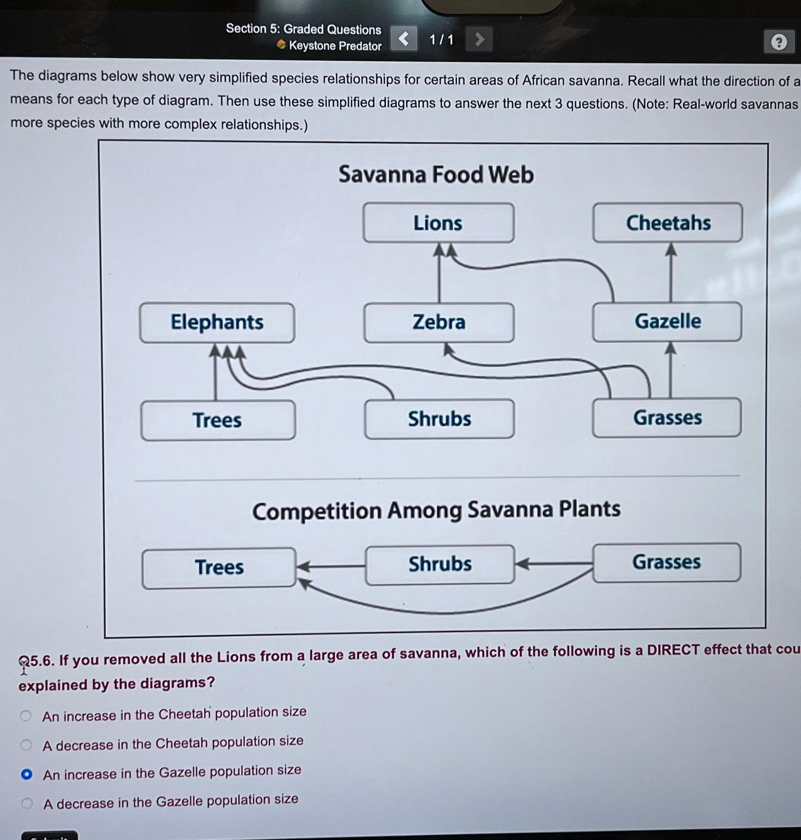 Solved Section 5: Graded QuestionsQ. ﻿Keystone Predator11The | Chegg.com