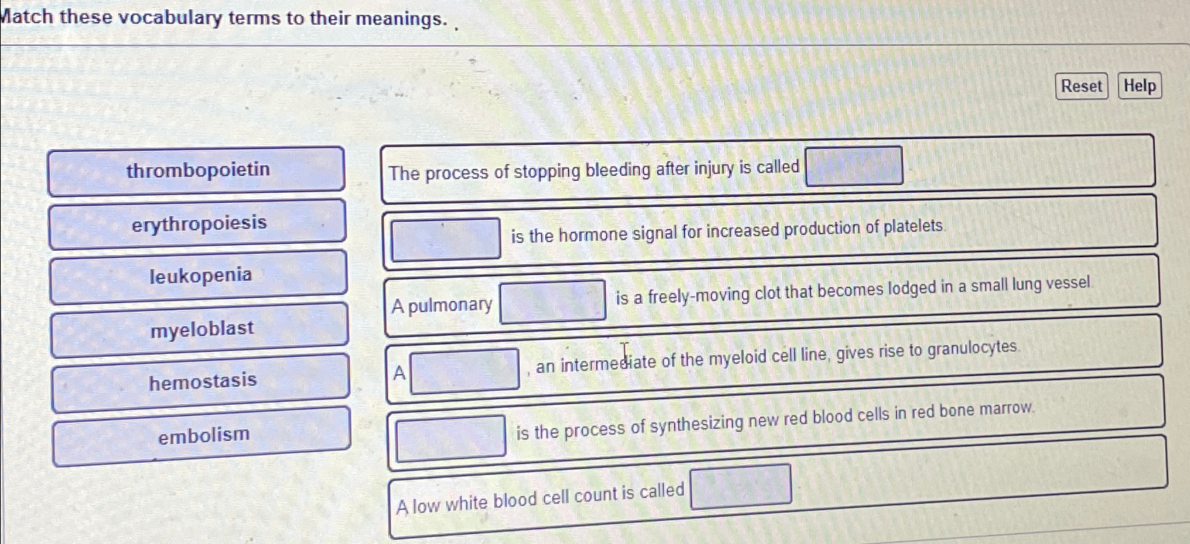 Solved Match these vocabulary terms to their | Chegg.com