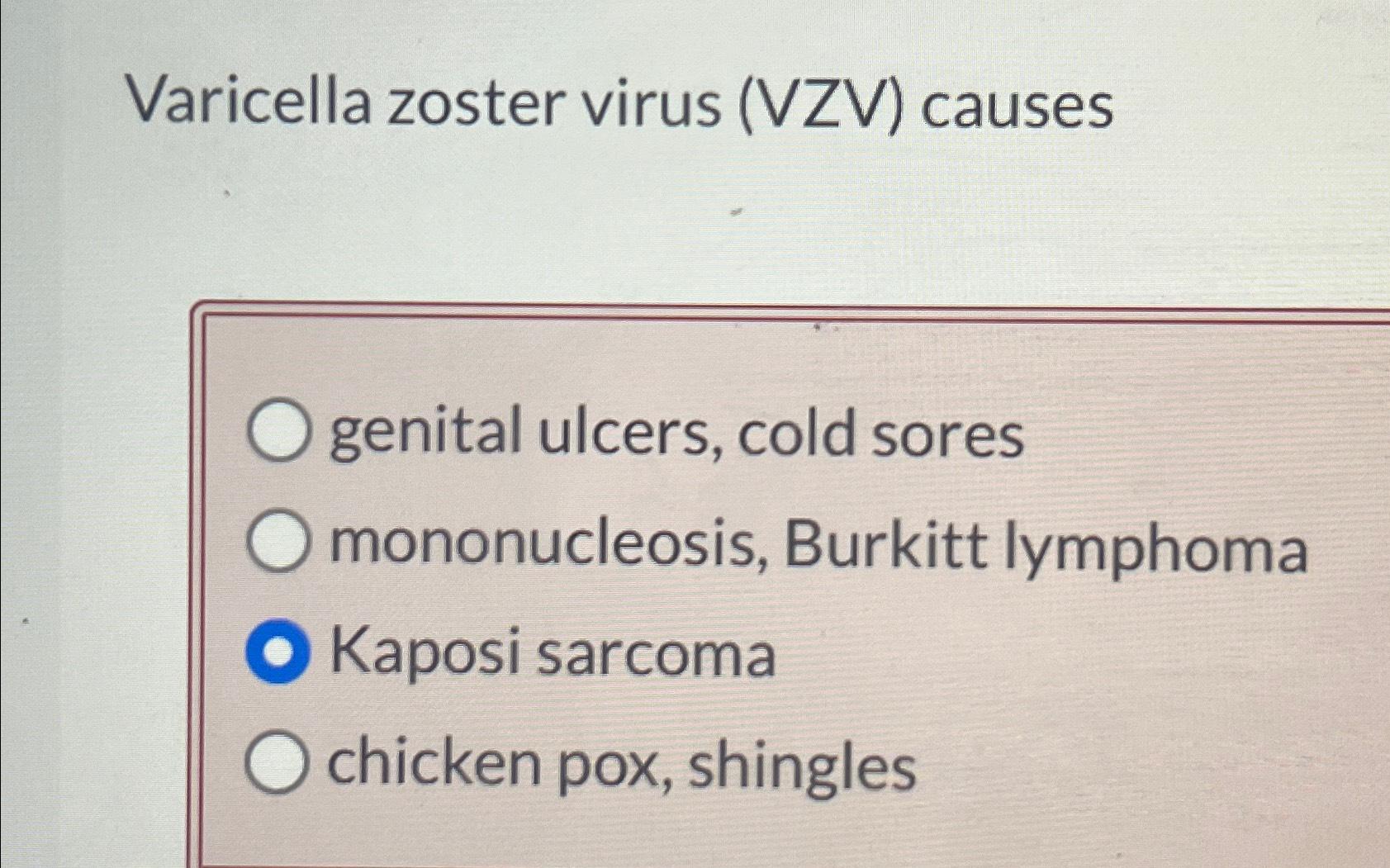 Solved Varicella zoster virus (VZV) ﻿causesgenital ulcers, | Chegg.com