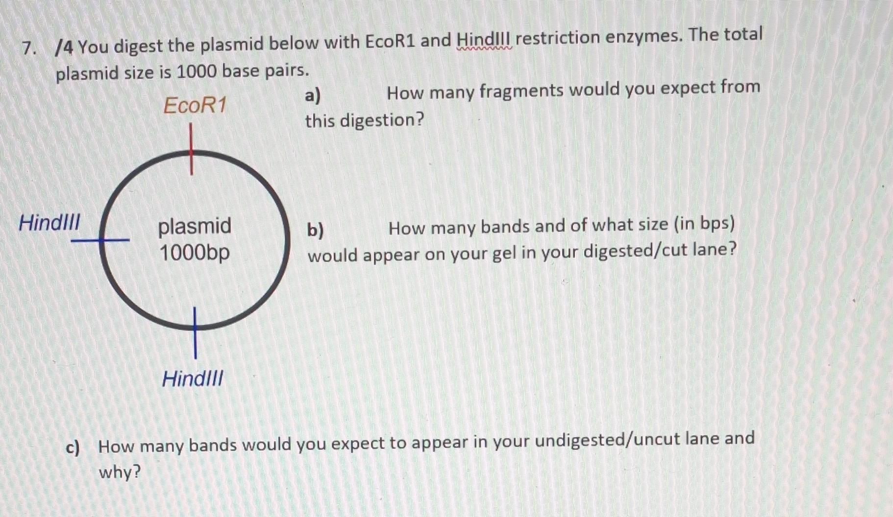 Solved 7. /4 You digest the plasmid below with EcoR1 and | Chegg.com