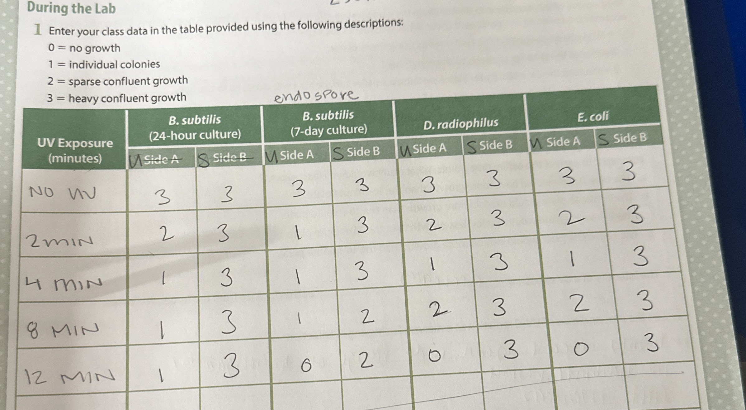 Solved During the Lab #421 ﻿Enter your class data in the | Chegg.com
