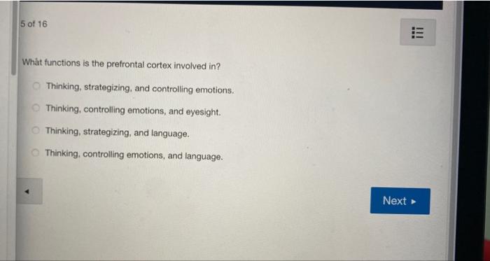 Solved 5 of 16 What functions is the prefrontal cortex | Chegg.com