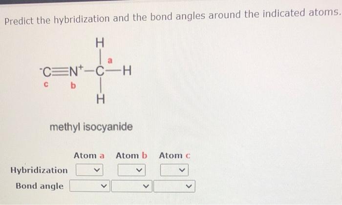 Solved Predict the hybridization and the bond angles around | Chegg.com