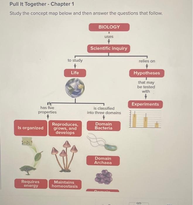 Solved Pull it Together - Chapter 1 Study the concept map | Chegg.com