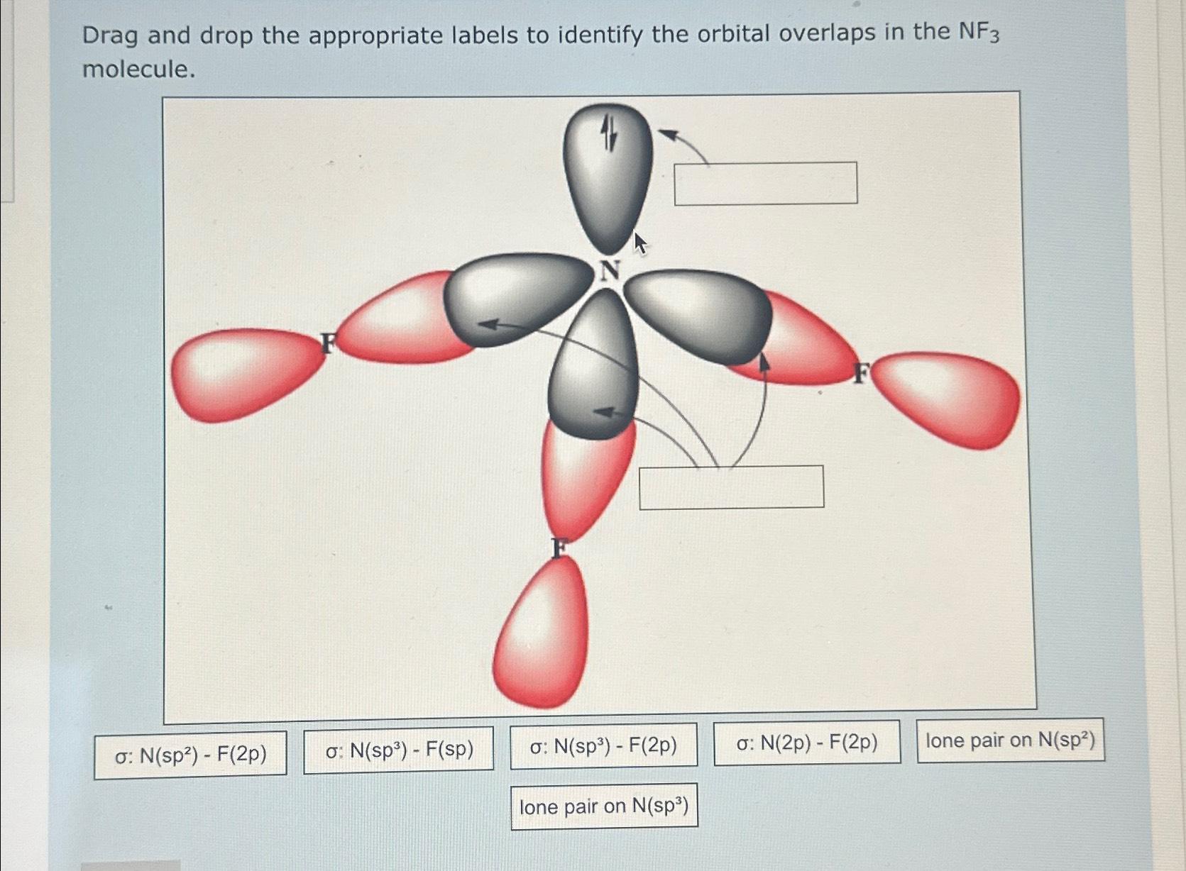 Solved Drag and drop the appropriate labels to identify the | Chegg.com