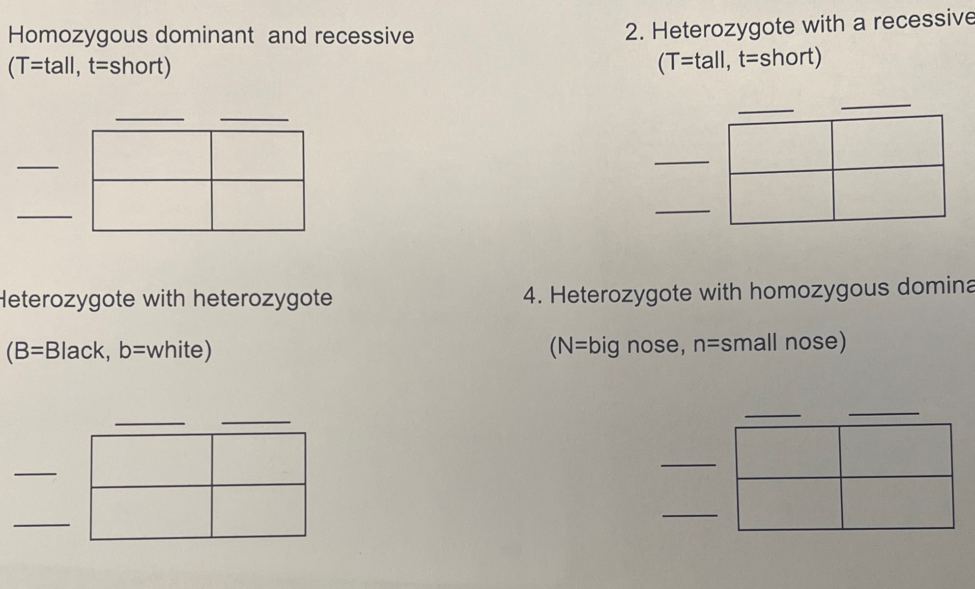 Solved Homozygous dominant and recessive2. ﻿Heterozygote | Chegg.com