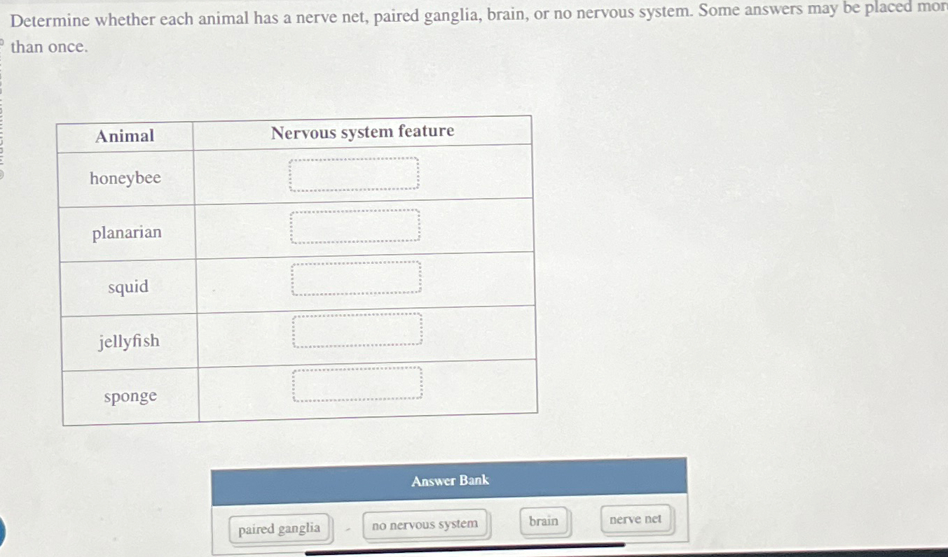 Solved Determine whether each animal has a nerve net, paired | Chegg.com