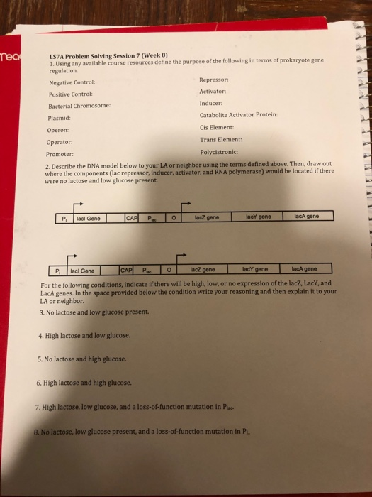 Solved Tead LS7A Problem Solving Session 7 (Week 8) 1. Using | Chegg.com