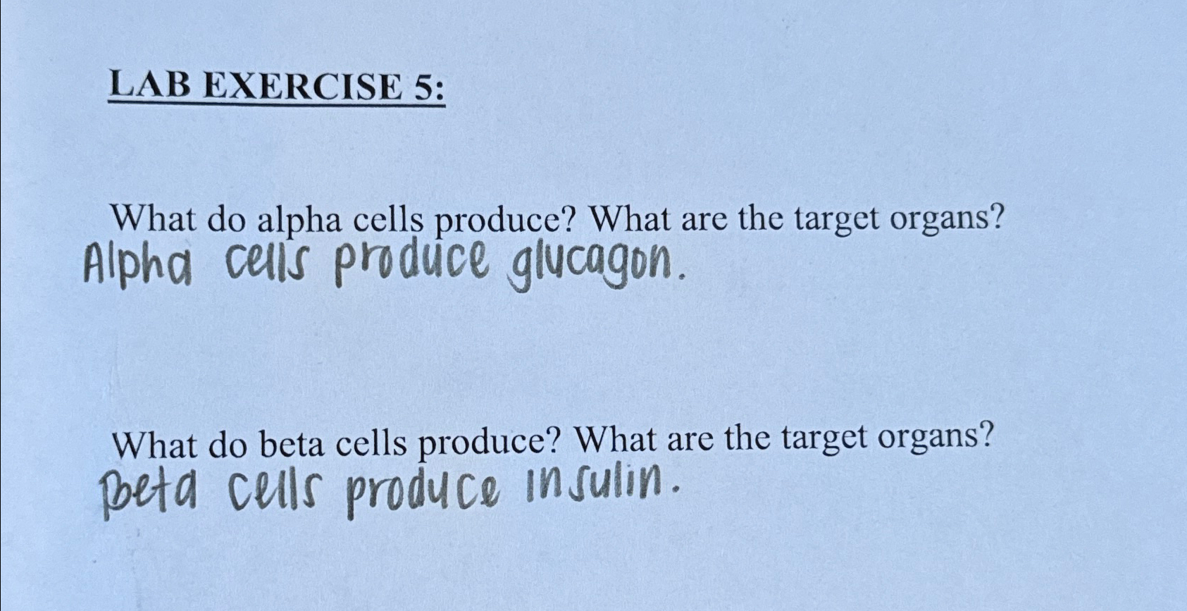 Solved LAB EXERCISE 5:What do alpha cells produce? What are | Chegg.com