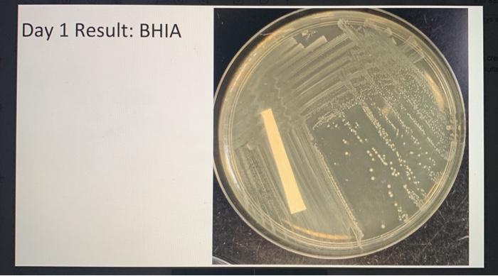 Solved FINAL SUBMISSION this portion below is due Monday, | Chegg.com