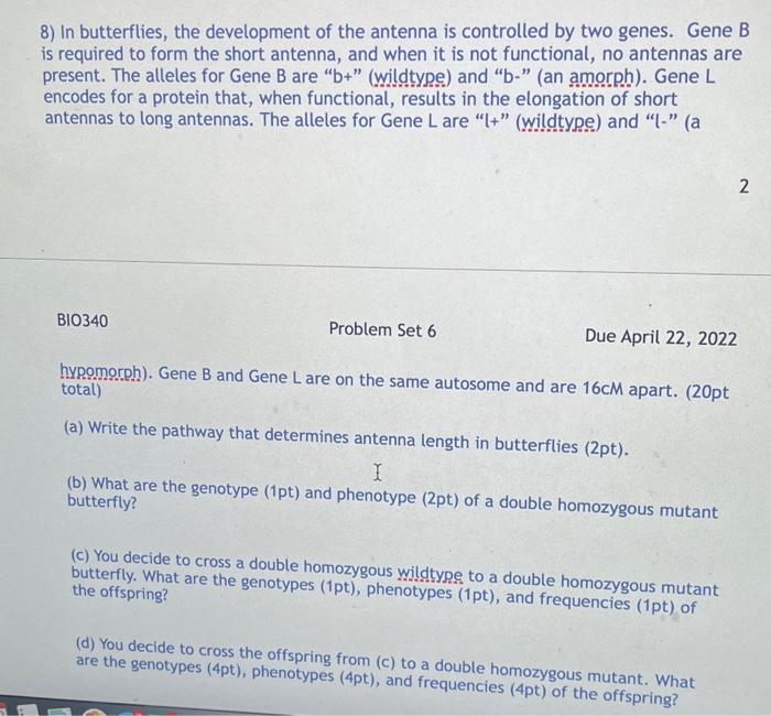 Solved 8) In butterflies, the development of the antenna is | Chegg.com