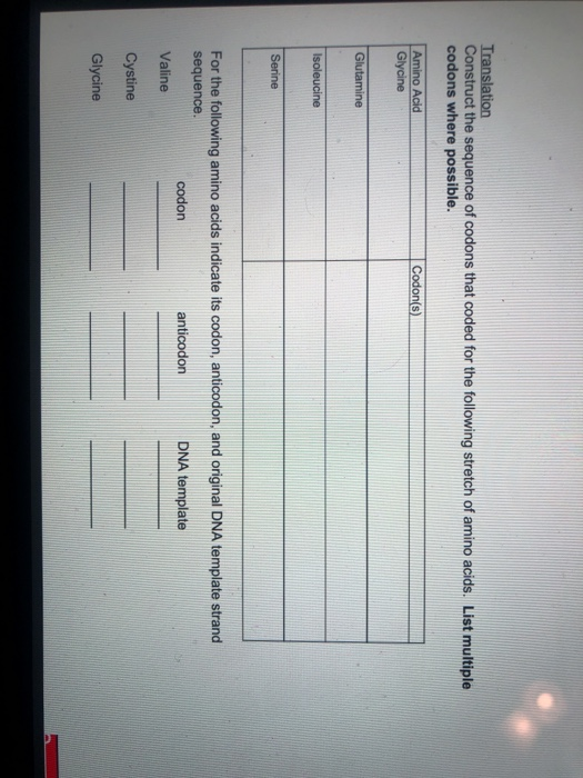 Solved Procedure: Replication Write the complementary DNA | Chegg.com