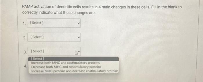 Solved PAMP activation of dendritic cells results in 4 main | Chegg.com