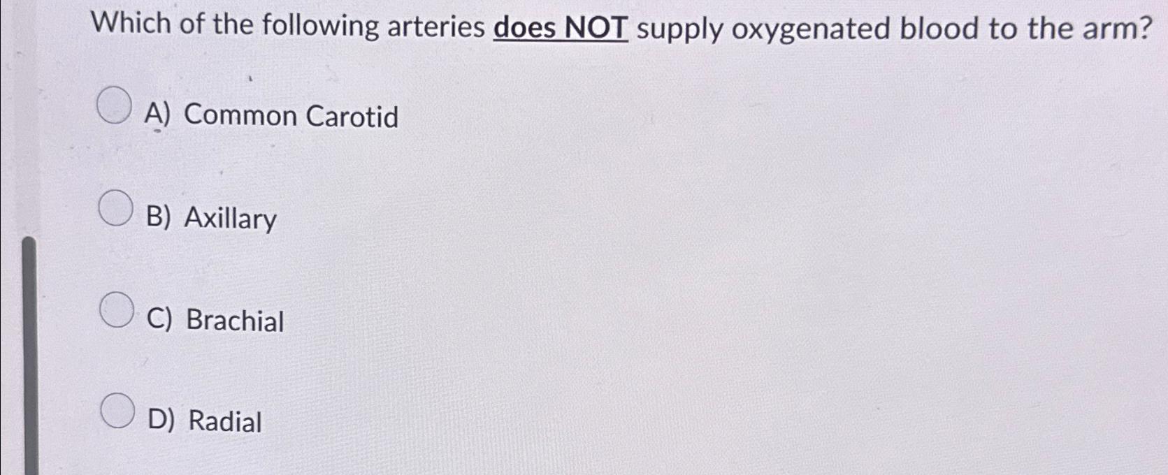 Solved Which of the following arteries does NOT supply | Chegg.com