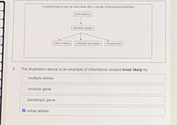 Solved In cattle, hornless or polled (P) is dominant over | Chegg.com