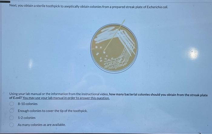 Solved Next, you obtain a sterile toothpick to aseptically | Chegg.com