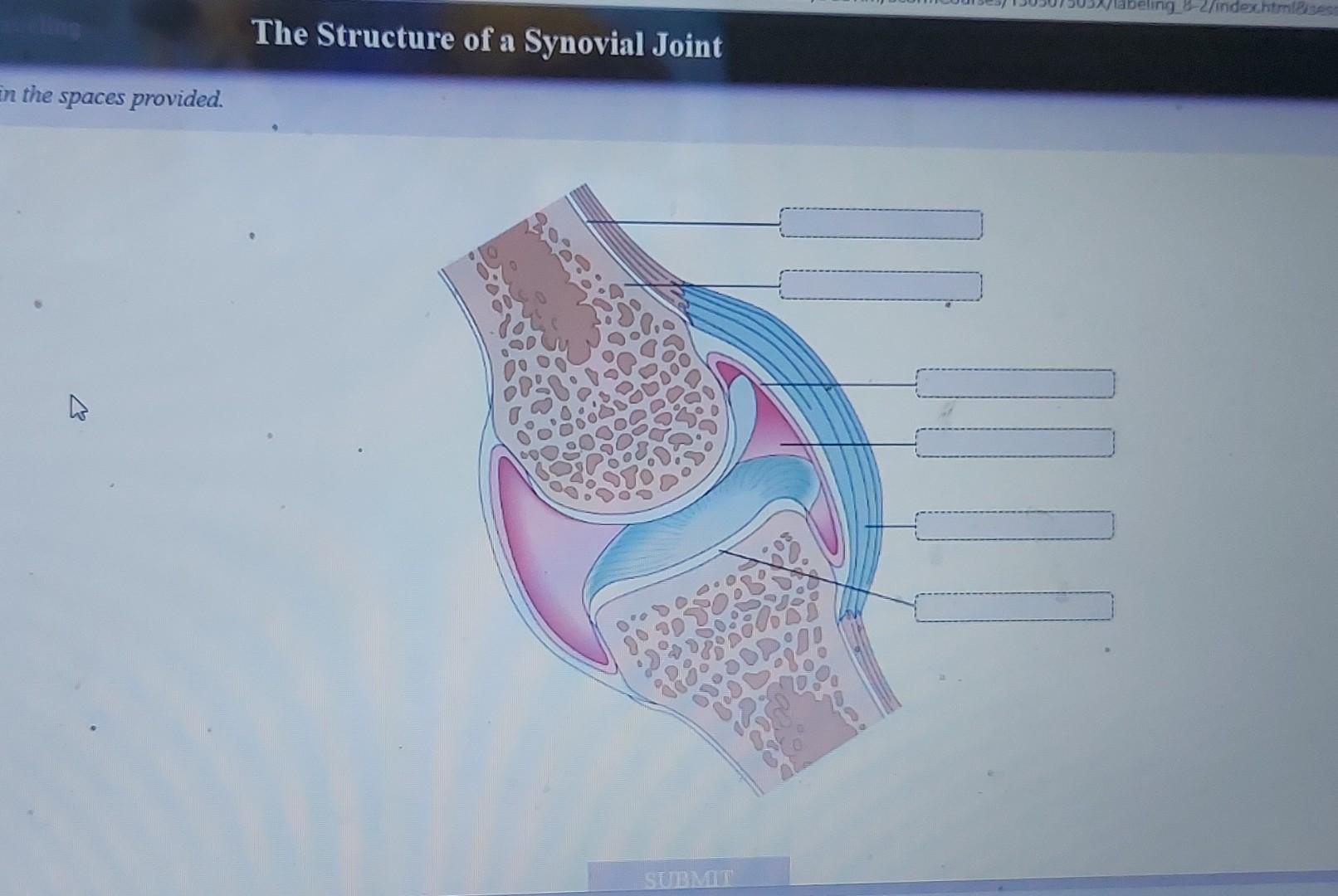 Solved the spaces provided. | Chegg.com