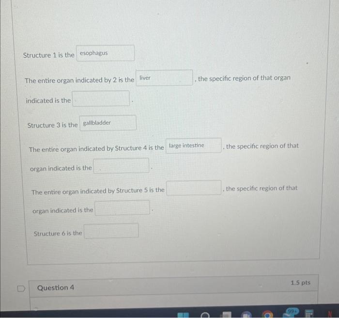 Solved Structure 1 is the The entire organ indicated by 2 | Chegg.com