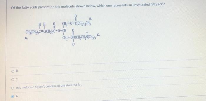 Solved At physiological pH, ATP contains 4 negative charges. | Chegg.com