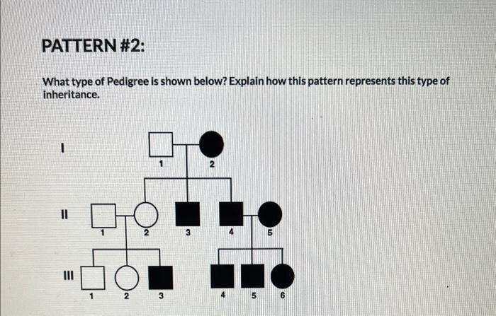 What type of Pedigree is shown below? Explain how | Chegg.com