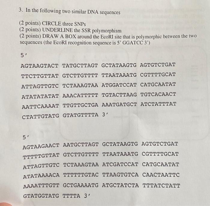 Solved 3. In the following two similar DNA sequences (2 | Chegg.com