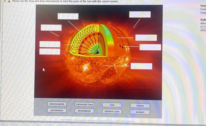 Solved Fill in the blank | Chegg.com