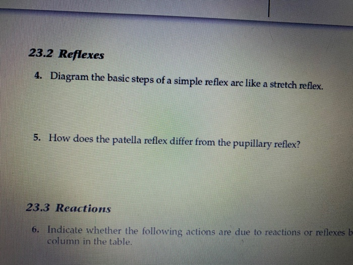 Solved 23.2 Reflexes 4. Diagram the basic steps of a simple | Chegg.com
