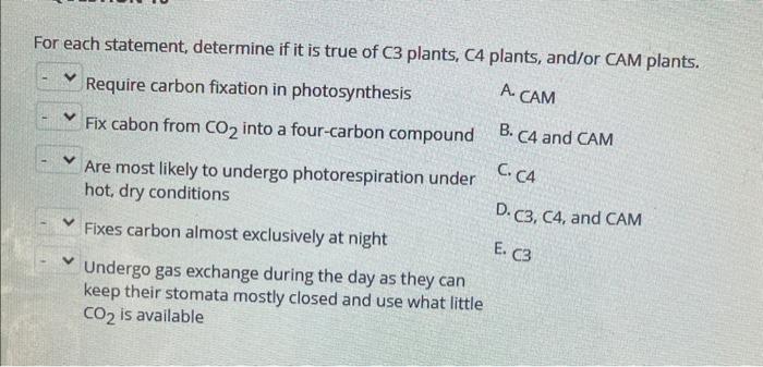 Solved For each statement, determine if it is true of C3 | Chegg.com