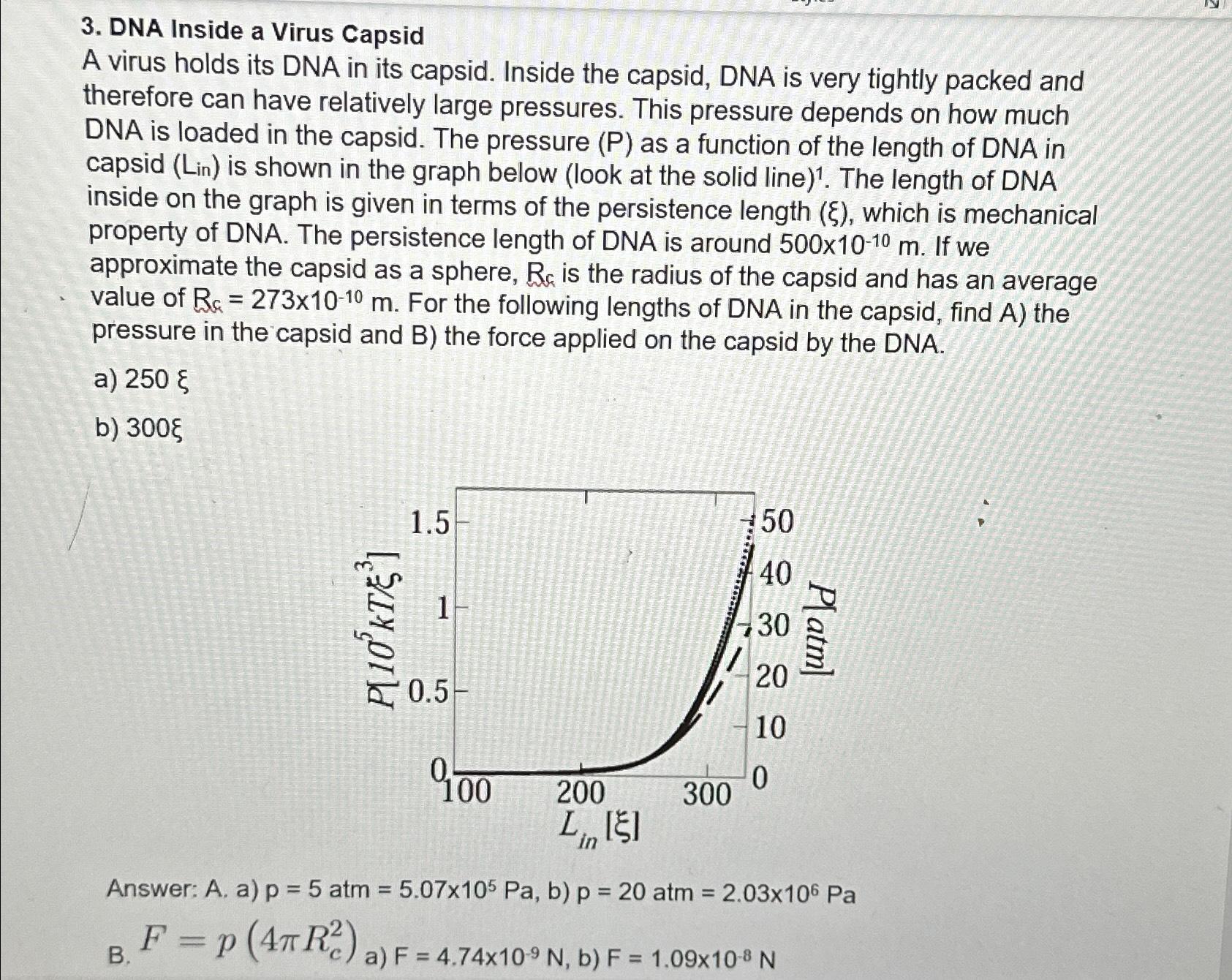 Solved DNA Inside a Virus CapsidA virus holds its DNA in its | Chegg.com
