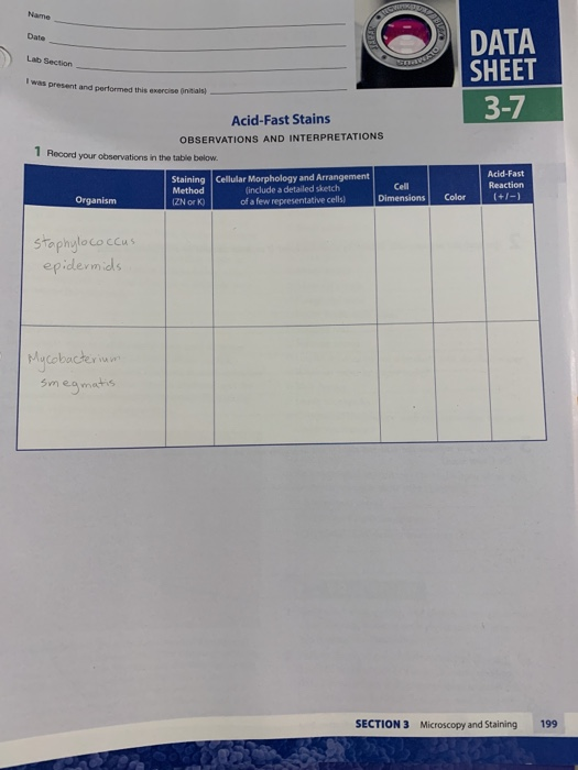 Solved Name Date Lab Section DATA SHEET 3-7 I was present | Chegg.com