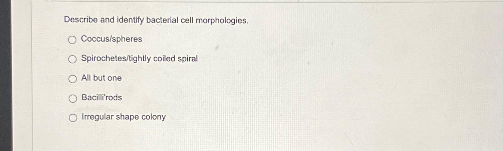 Solved Describe and identify bacterial cell | Chegg.com