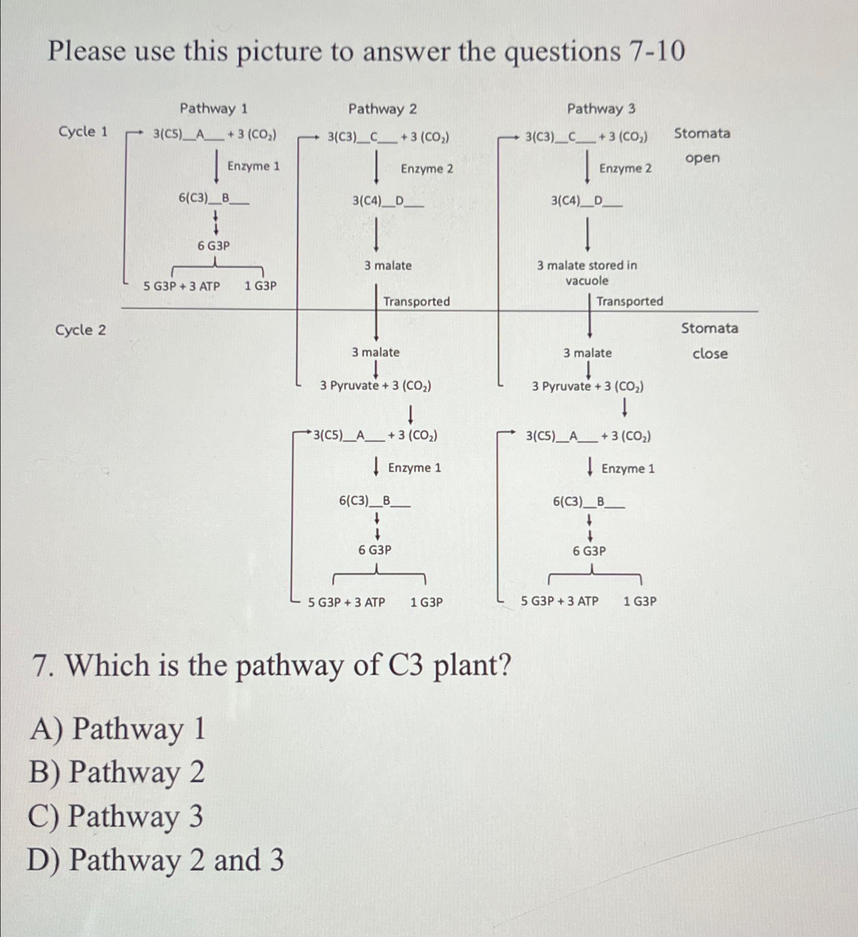 Solved Please use this picture to answer the questions | Chegg.com