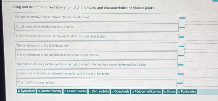 Solved Drag and drop the correct labels to match the types | Chegg.com