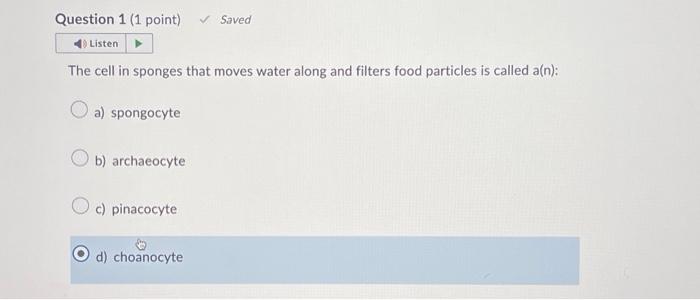Solved Question 1 (1 point) 4) Listen The cell in sponges | Chegg.com