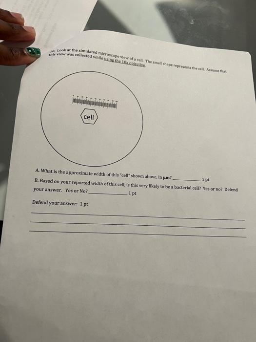 Solved 3a. Look at the simulated microscope view of a cell. | Chegg.com