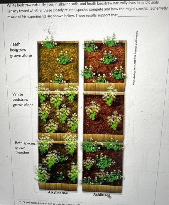 Solved Closely related species can co-exist by living on | Chegg.com