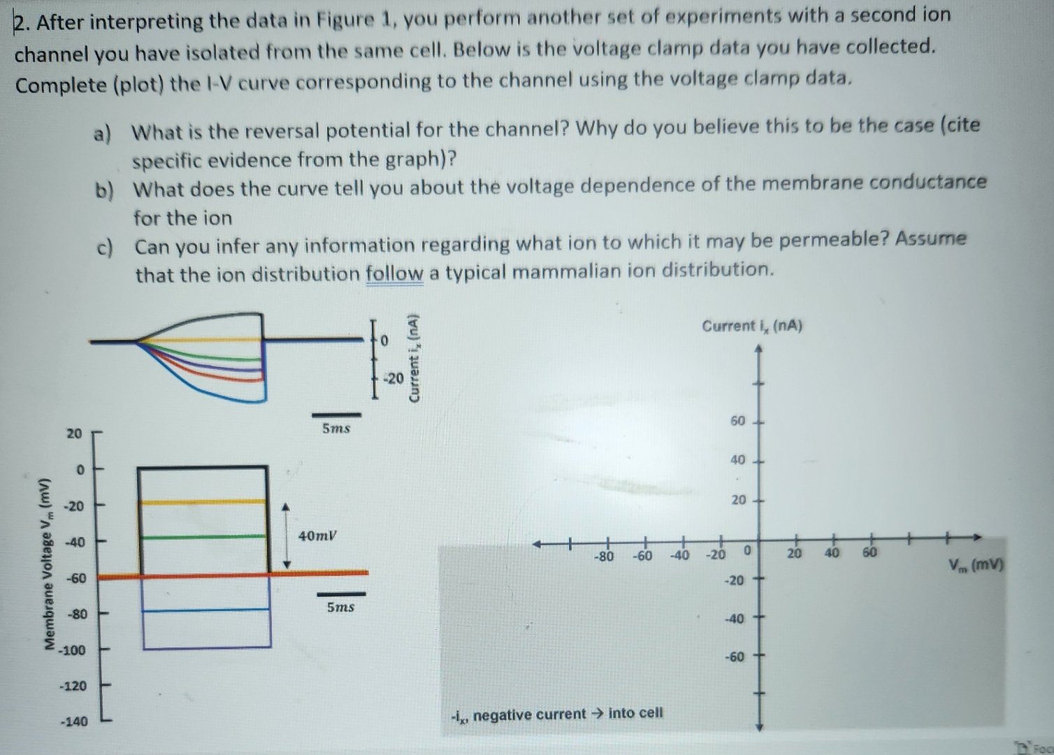 Solved After interpreting the data in Figure 1, ﻿you perform | Chegg.com