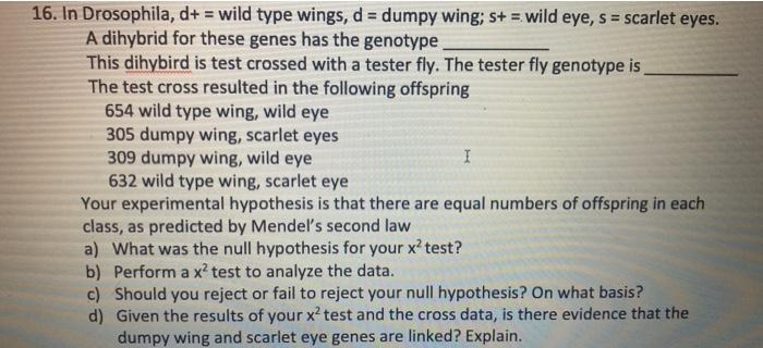Solved 16. In Drosophila, d+ = wild type wings, d = dumpy | Chegg.com