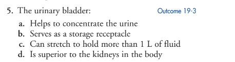 Solved The urinary bladder:Outcome 19-3a. ﻿Helps to | Chegg.com