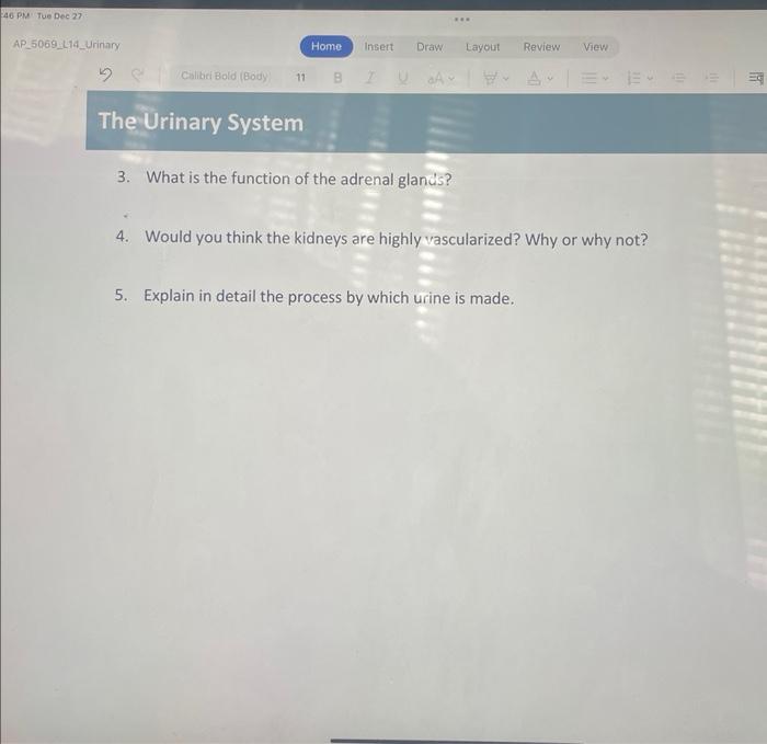 Solved The Urinary System Tahle 5. Simulated Urine Glucose | Chegg.com
