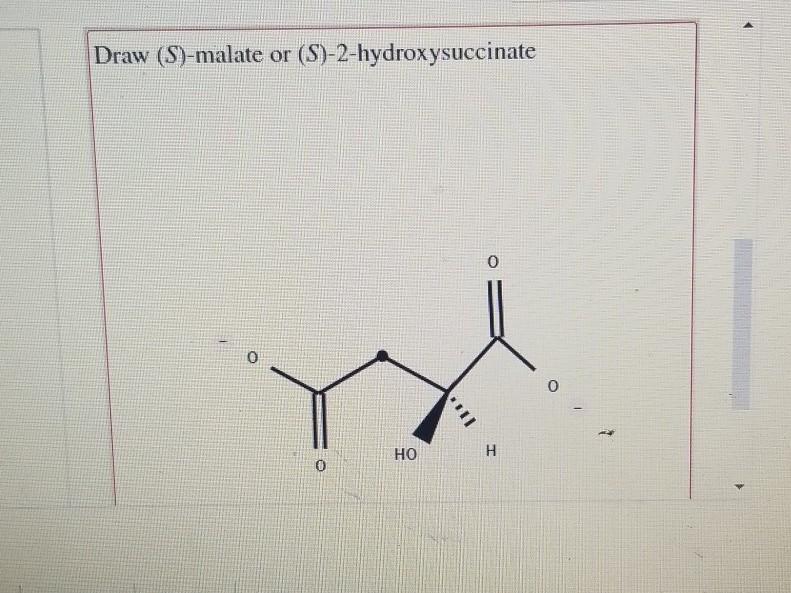 Solved Draw (S)-malate or (S)-2-hydroxysuccinate 0 O 0 111 2 | Chegg.com
