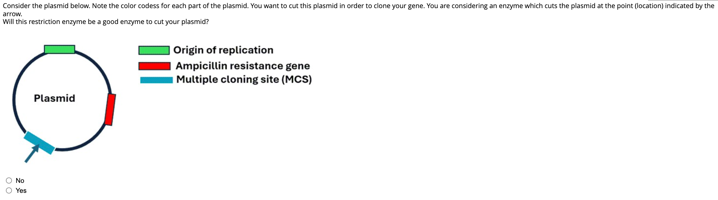 Solved arrow.Will this restriction enzyme be a good enzyme | Chegg.com